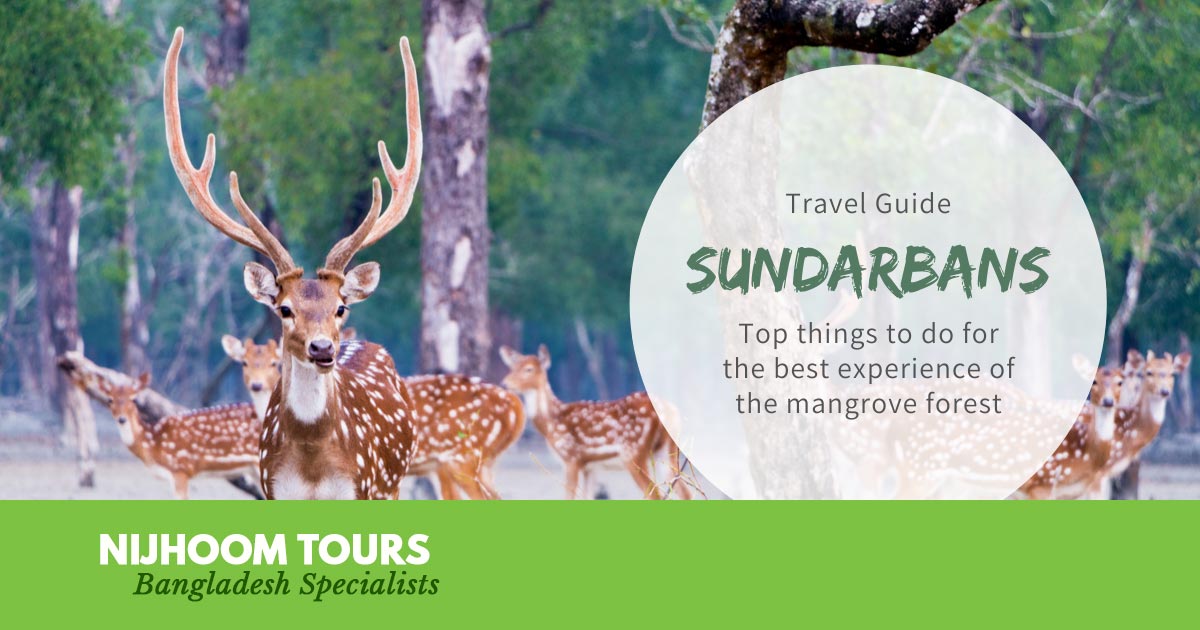 The Sundarbans: 8 Top things to do for a great experience | Nijhoom Tours
